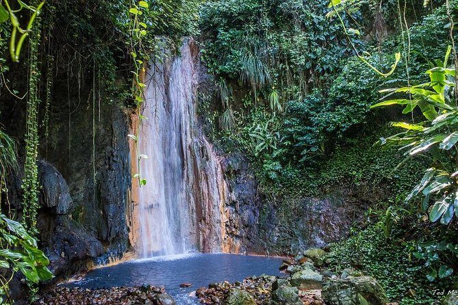 St. Lucia Botanical Gardens and Waterfall Tour Groups only - Reliability and Review Highlights