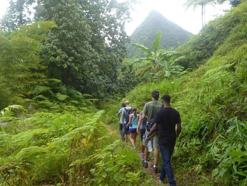 St. Lucia: Gros Piton Hike with Transportation - The Itinerary in Detail
