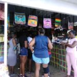 St. Lucia: Highlights Tour with mud baths and waterfalls - What Travelers Say: Authentic Perspectives