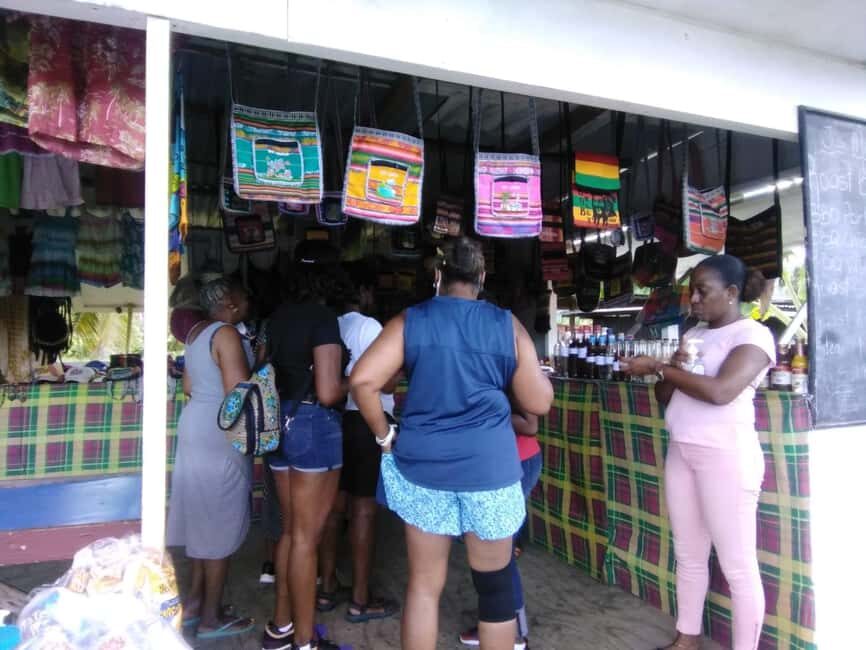 St. Lucia: Highlights Tour with mud baths and waterfalls - What Travelers Say: Authentic Perspectives