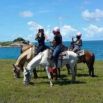 St. Lucia: Horseback Riding Adventure - Why This Tour Is Worth Considering