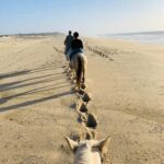 St. Lucia: Horseback Riding on the Beach with Swim - What to Expect on Your Horseback Riding Adventure