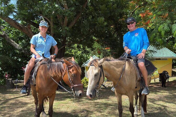 St. Lucia Horseback Riding & Zip Lining Adventure Tour - Who Would Enjoy This Tour Most?