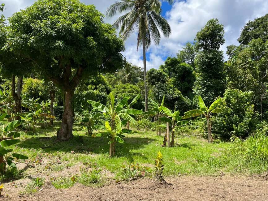 St. Lucia: Land and Sea All Inclusive Tour - Practical Details and Considerations