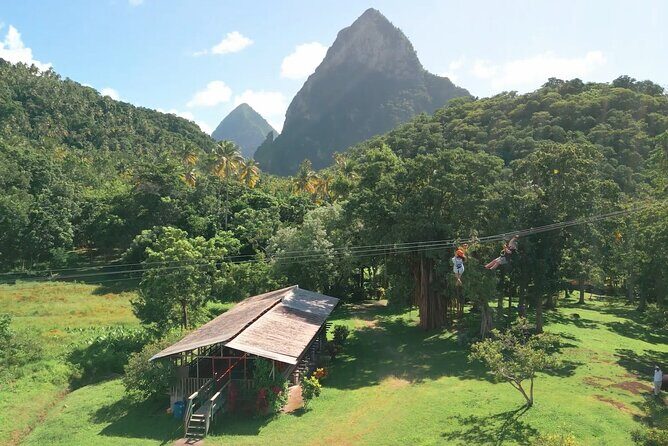 St. Lucia Morne Coubaril Estate Zipline Experience - An In-Depth Look at the Morne Coubaril Estate Zipline Experience