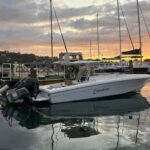 St. Lucia: Private Boat Charter with Custom Itinerary - What to Expect During Your 2-Hour Tour