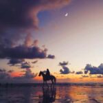 St Lucia: Private Sunset Beach Horse Ride + Pickup available - What You Can Expect and What to Bring