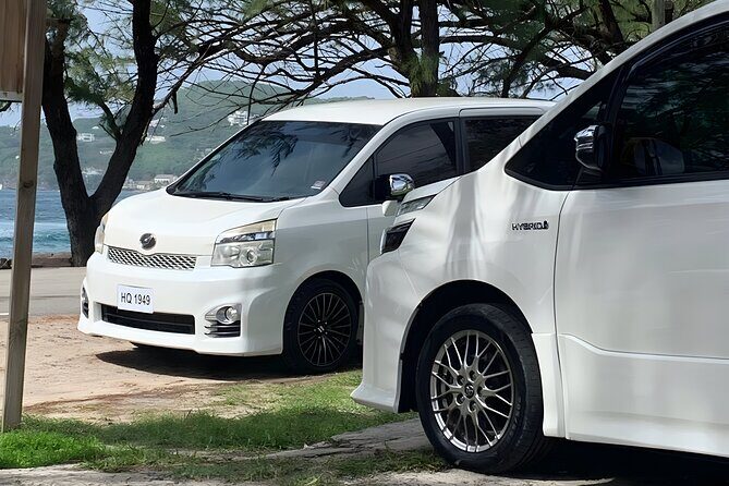 St Lucia Private Zipline and Shopping Adventure - Practical Considerations and Value