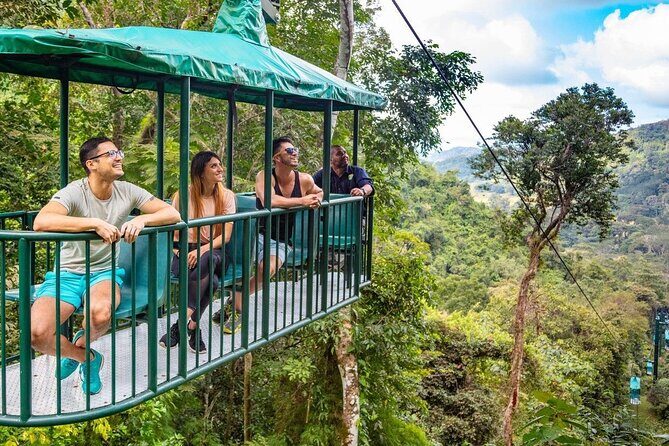 St. Lucia Rainforest Eco-Explorer: Aerial, Zip, and Hike Combo
