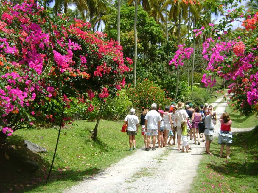 St Lucia: Sapphire Falls Hike with Cruise and Creole Lunch - Practical Details and Value