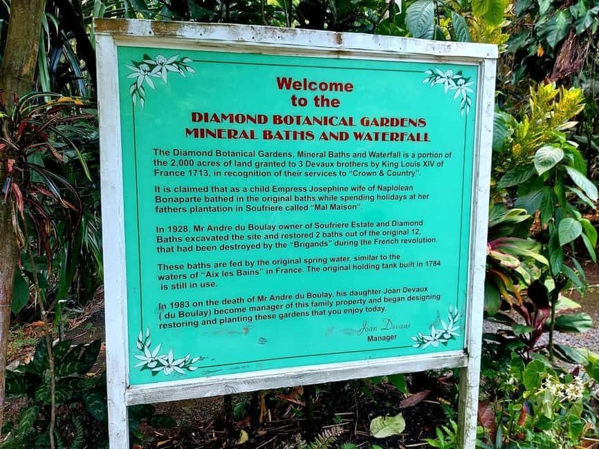 St. Lucia: Scenic Nature Hike & Botanical Garden Escape - Cultural and Scenic Highlights