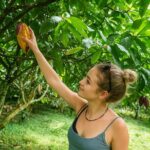 St Lucia Soufriere Private Chocolate Tour - The Itinerary — What to Expect Day of