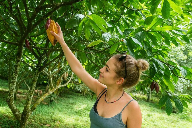 St Lucia Soufriere Private Chocolate Tour - The Itinerary — What to Expect Day of