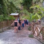 St. Lucia Tet Paul Nature Trail Tour - Who Will Love This Tour?