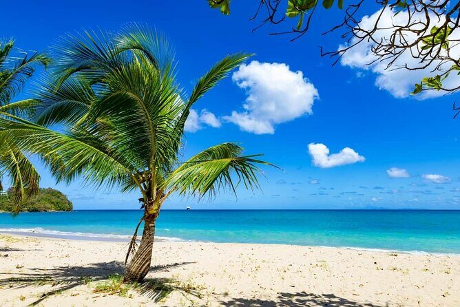St Lucia Transfer from Castries Cruise Ship Port to Vigie Beach - The Value Proposition