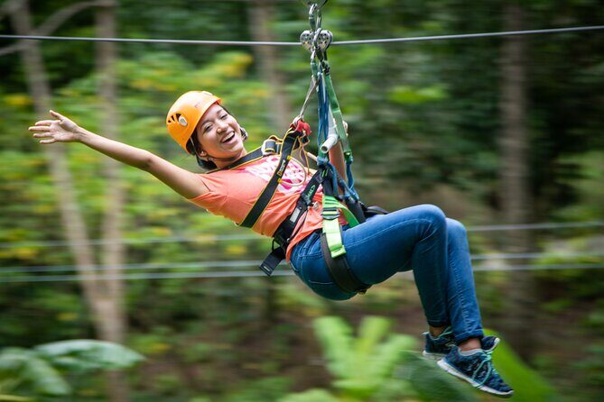 St Lucia Ultimate 3: Aerial Tram, Zipline and Hiking at Rainforest Adventures - The Experience in Detail: Why It Works