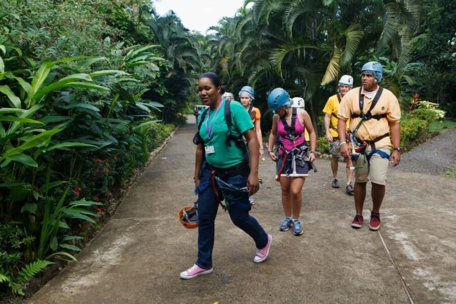 St Lucia Ultimate 3 Package: Aerial Tram Zip Line & Hiking - The Guides and Safety