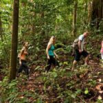 St. Lucia: Zip Line, Aerial Tram, and Hiking Tour - The Value of This Adventure