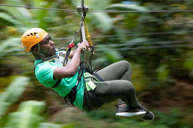 St. Lucia Zip line, Aerial Tram and Hiking tour Ultimate 3 - Analyzing the Value
