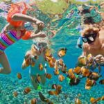 St.Maarten Nature, Hike & Snorkeling - Snorkeling at Little Bay: An Underwater Wonderland