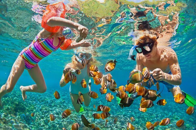 St.Maarten Nature, Hike & Snorkeling - Snorkeling at Little Bay: An Underwater Wonderland