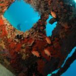 St Maarten Scuba Diving for Certified Divers - Final Thoughts