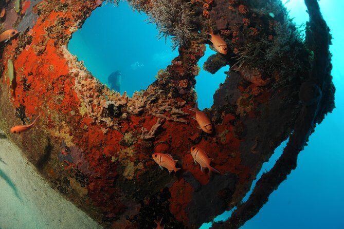 St Maarten Scuba Diving for Certified Divers - Final Thoughts