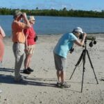 St.Martin - St.Maarten: Small Group, Birding Tour / Bird Watching Tour - What the Reviews Say