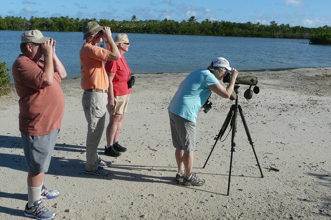 St.Martin - St.Maarten: Small Group, Birding Tour / Bird Watching Tour - What the Reviews Say