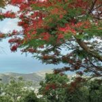 St.Martin - St. Maarten: Small Group, Coastal Hike & Swim Tour - Practical Details: What to Expect