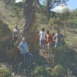 St.Martin - St.Maarten: Small Group, Cultural Heritage Tour - The Sum Up