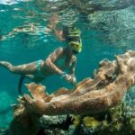 St. Thomas Lime Out Snorkel with Taco Bar Lunch & Swim-Up Bar - Ritz-Carlton - Who Will Love This Tour?