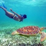 St. Thomas Maho Bay Turtle Snorkel Sail - Ritz-Carlton - Who Should Consider This Tour?