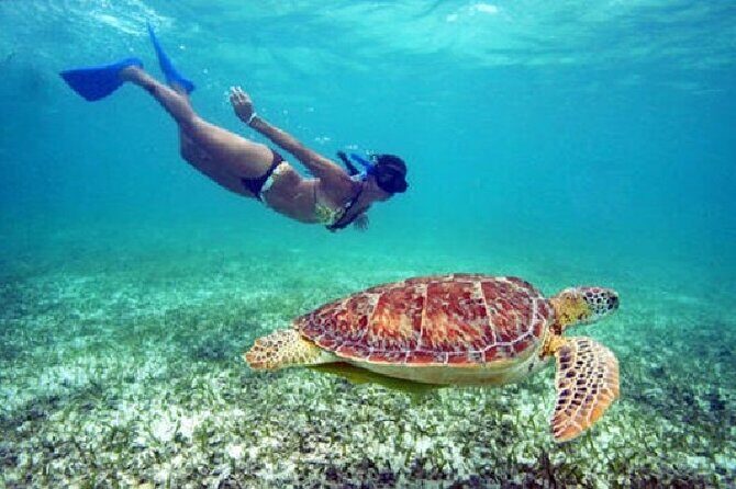 St. Thomas Maho Bay Turtle Snorkel Sail - Ritz-Carlton - Who Should Consider This Tour?