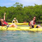 St Thomas Mangrove Lagoon Kayak and Snorkel Tour in the US Virgin Islands - An In-Depth Look at the Tour Experience