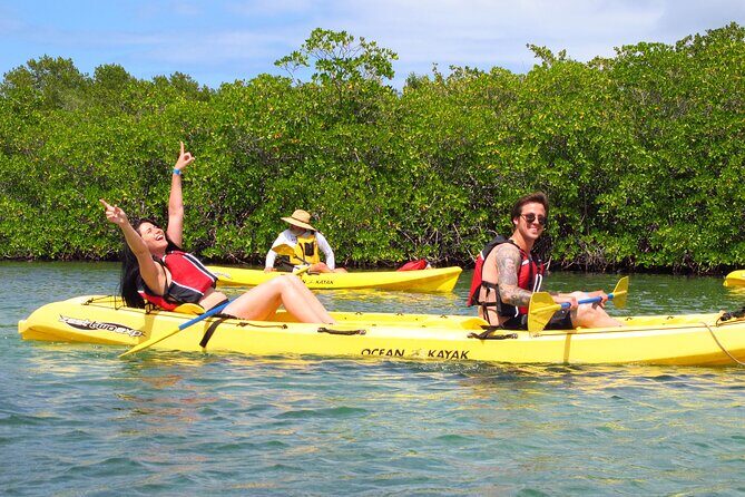 St Thomas Mangrove Lagoon Kayak and Snorkel Tour in the US Virgin Islands - An In-Depth Look at the Tour Experience