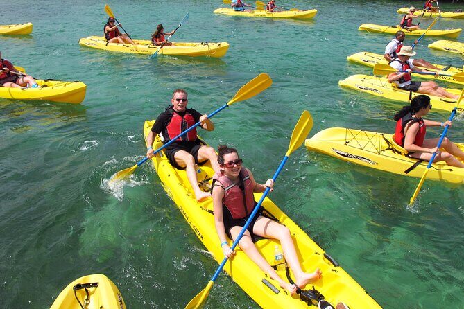 St Thomas Shore Excursion: Mangrove Lagoon Kayak and Snorkel Tour - What Makes This Tour Stand Out?