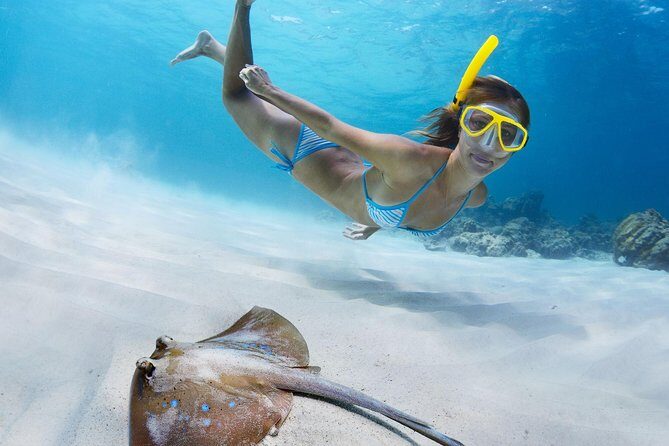 St Thomas~St John Snorkel, Swim & Beach Trip on MV Island Flyer - Authentic Experiences and Guest Feedback