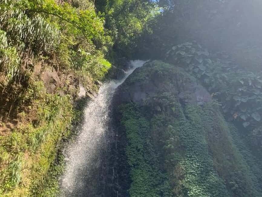 St. Vincent: Dark View Falls Tour - What It Means for You