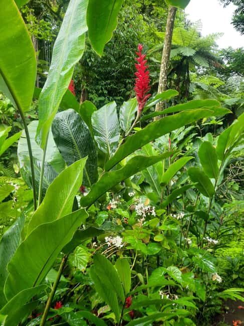 St Vincent: Montreal Gardens, Botanical Gardens & Fort Tour - What Makes This Tour Special?