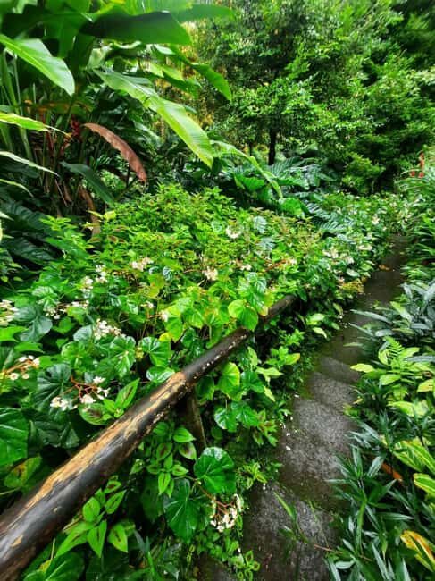 St. Vincent: Vermont Nature Trail - What to Expect on the Vermont Nature Trail Tour