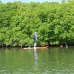 Stand up paddle in paradise - The Practicalities