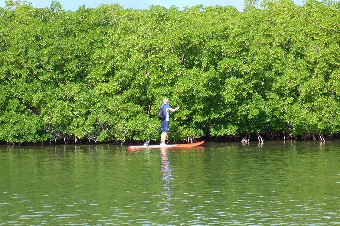 Stand up paddle in paradise - The Practicalities