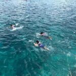 standard and premium private transfer from punta cana airport to cabarete - Who This Transfer Is Best For