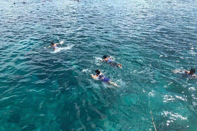 standard and premium private transfer from punta cana airport to cabarete - Who This Transfer Is Best For