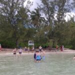 Starfish Encounter & Mangrove Exploration in Grand Cayman - Who Is This Tour Best For?