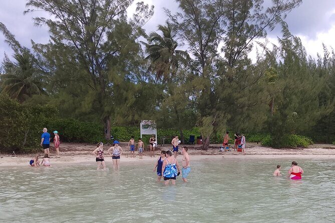 Starfish Encounter & Mangrove Exploration in Grand Cayman - Who Is This Tour Best For?