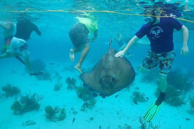 Starfish Point, Stingray City & Coral Garden (3-STOP Adventure) - Transportation and Group Size