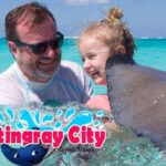 Stingray City and Starfish Experience with Coral Reef Snorkeling - Who Will Enjoy This Tour?