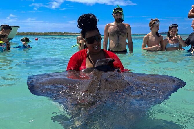 Stingray City Experience Antigua - Cruise Ship Passengers Edition - The Value of the Experience